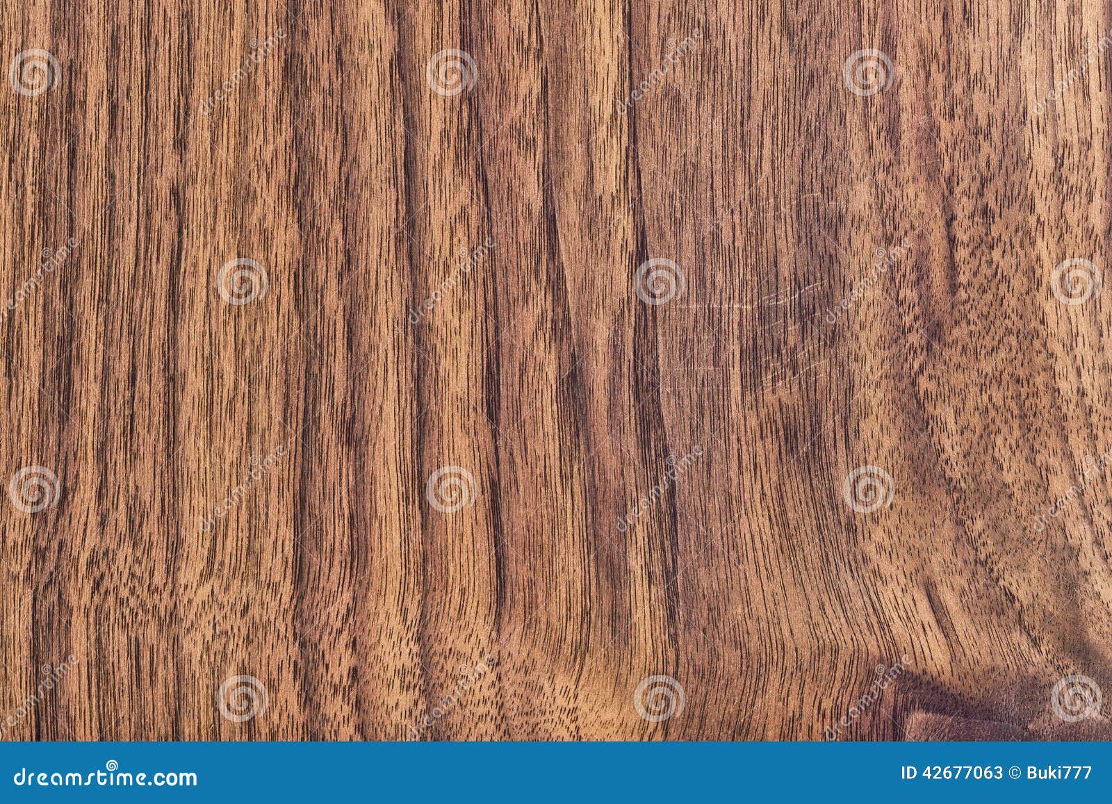 Textura De Madera De La Nuez Imagen de archivo - Imagen de anual ...