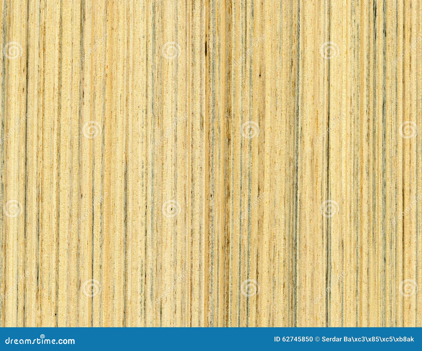 Textura De Madera De La Nuez Foto de archivo - Imagen de contexto ...