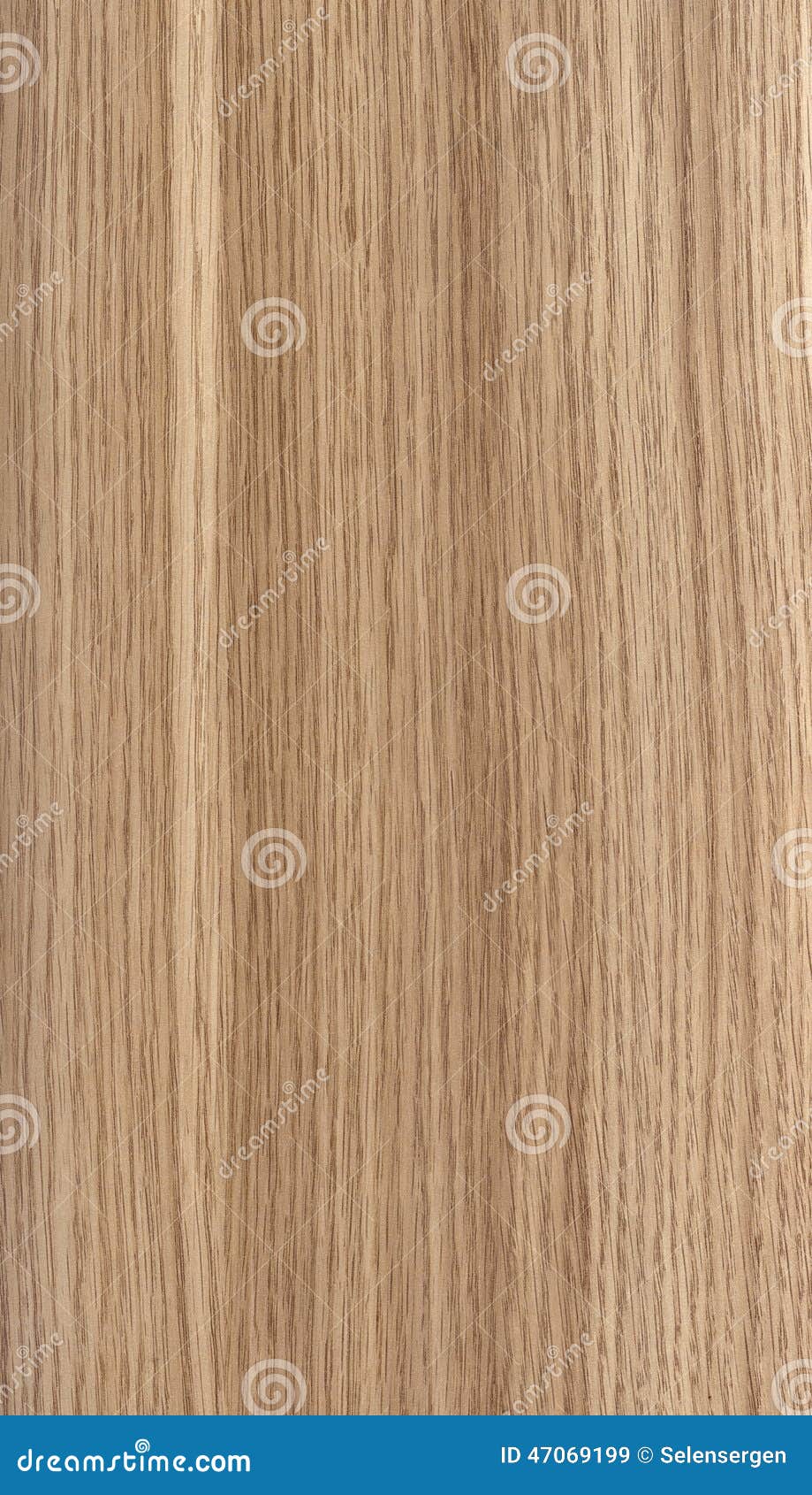 Textura De Madera De La Teca Imagen de archivo - Imagen de modelo ...