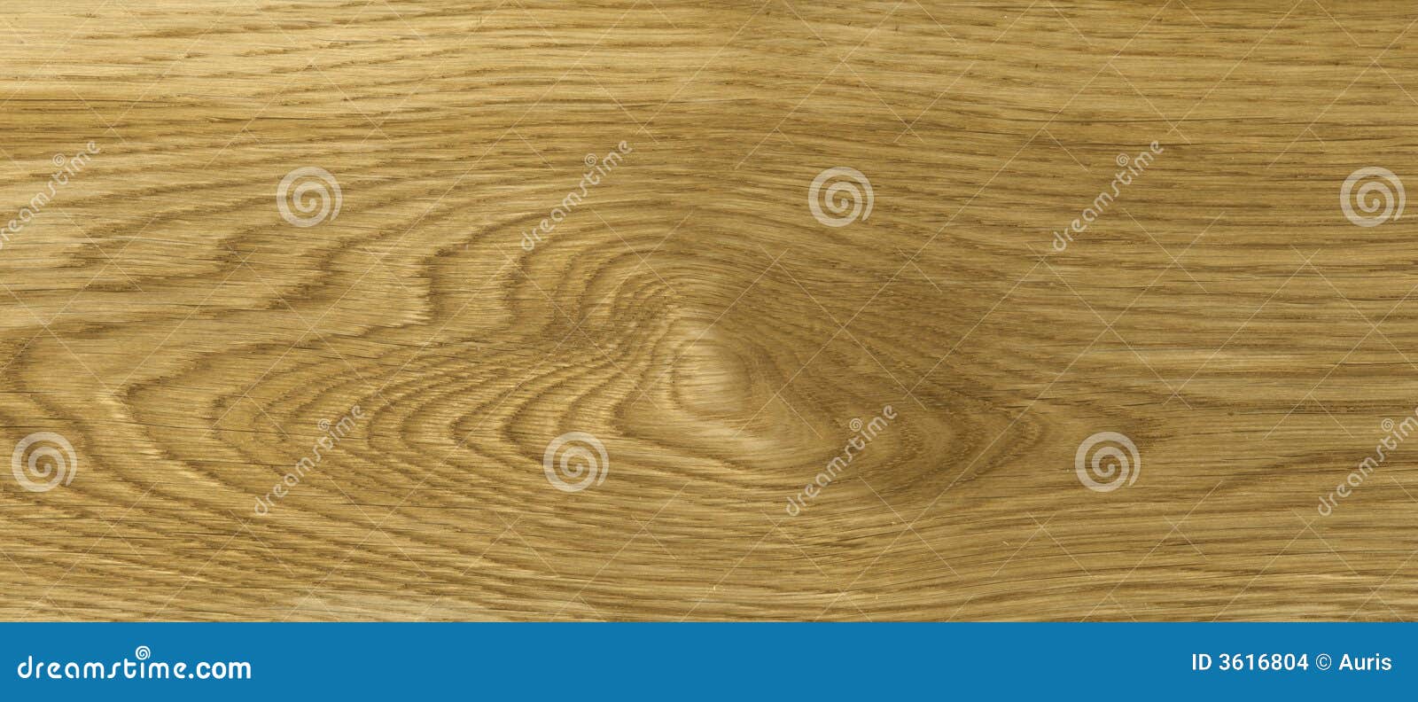 Textura de madera de roble foto de archivo. Imagen de modelo - 3616804