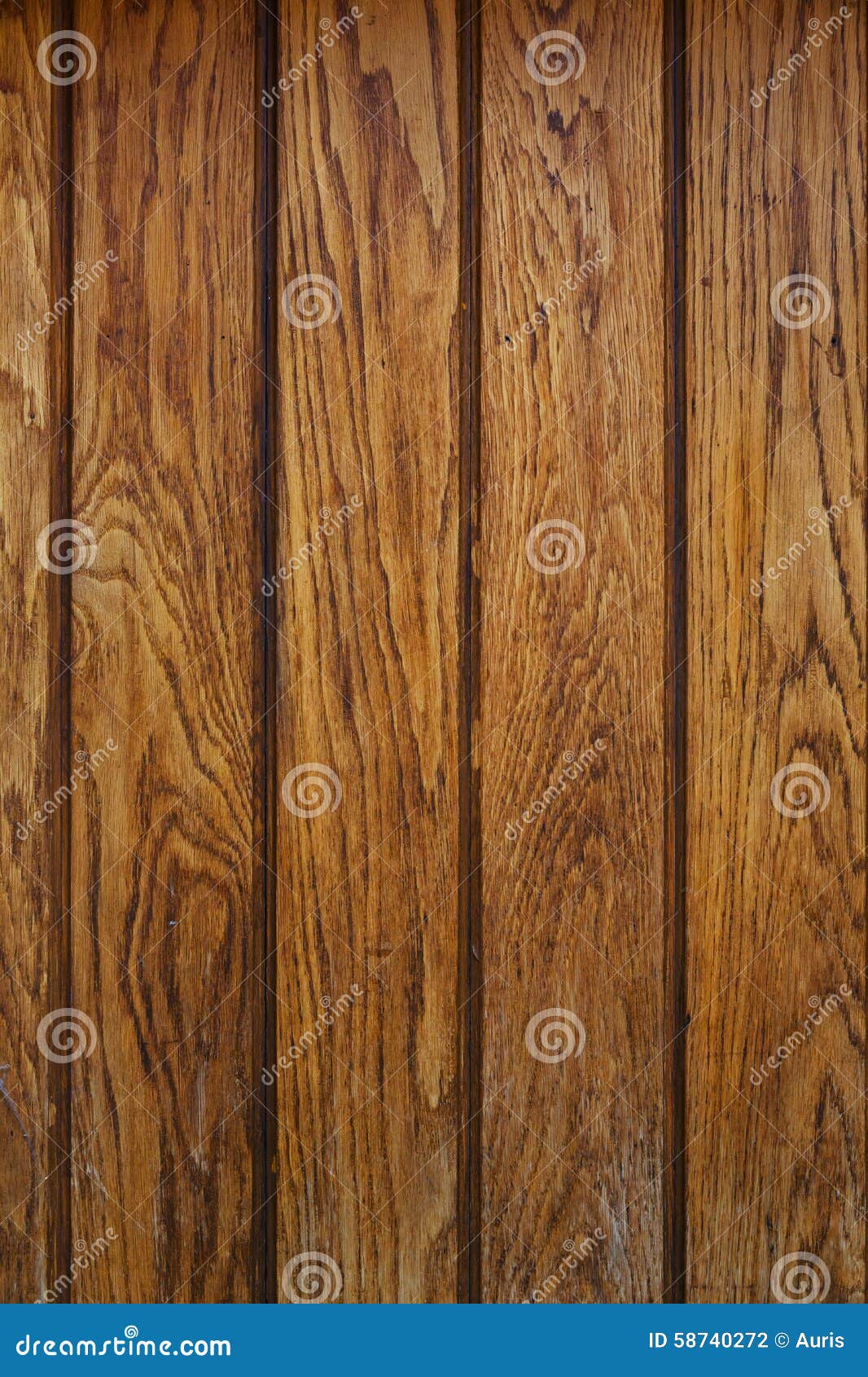 Textura de madera de roble foto de archivo. Imagen de cierre - 58740272