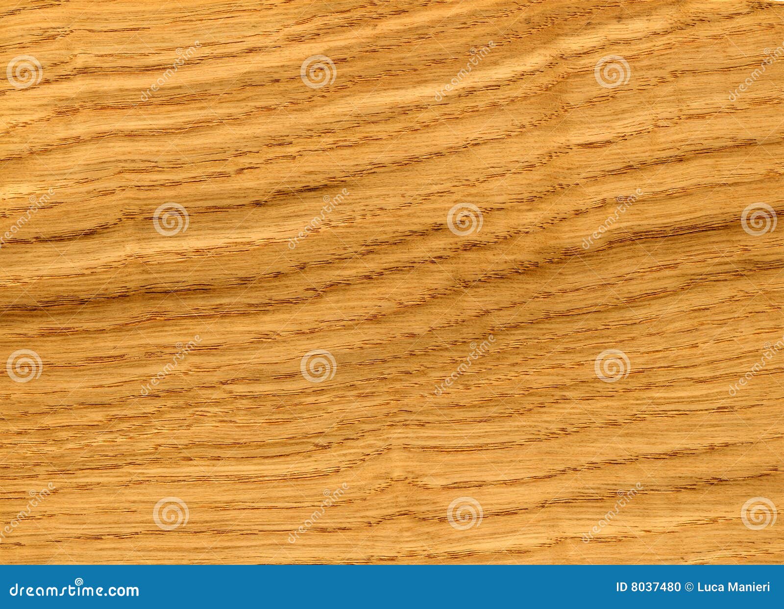 Textura de madera de roble foto de archivo. Imagen de muebles - 8037480