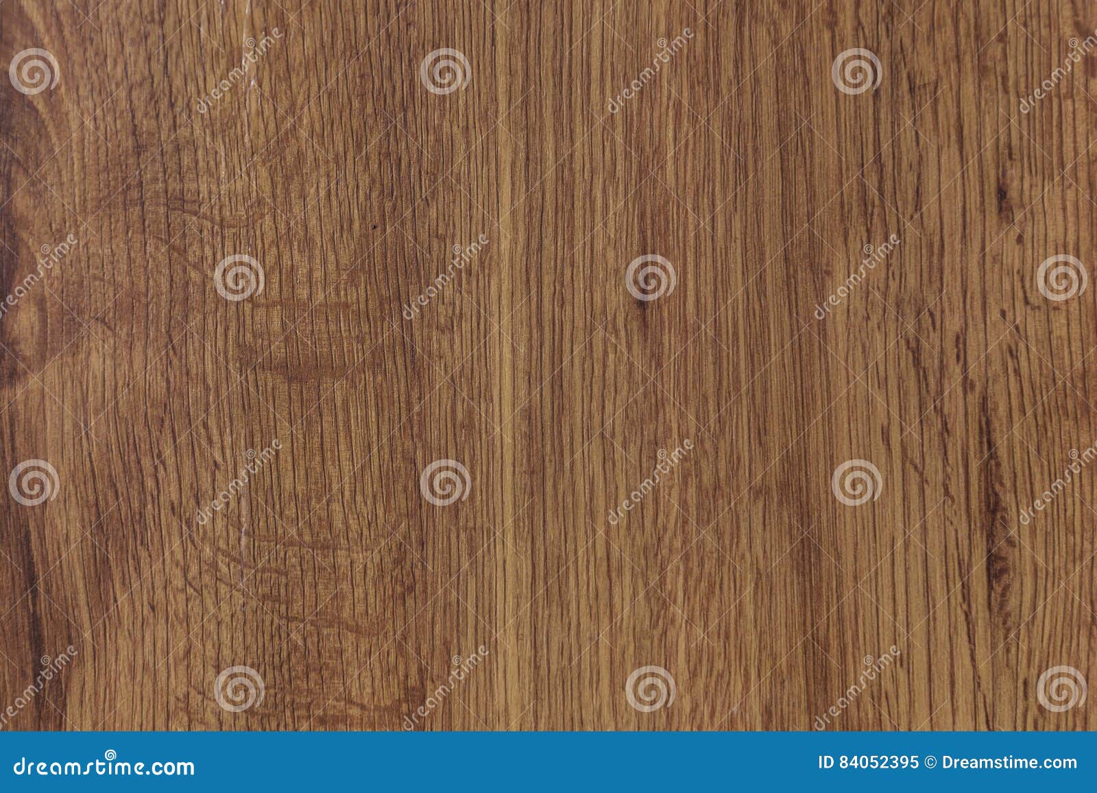 Textura de madera de roble imagen de archivo. Imagen de pared - 84052395