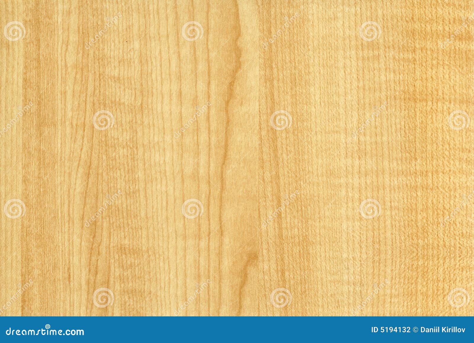 Textura De Madera De Thansau Del Arce Del Primer Foto de archivo ...