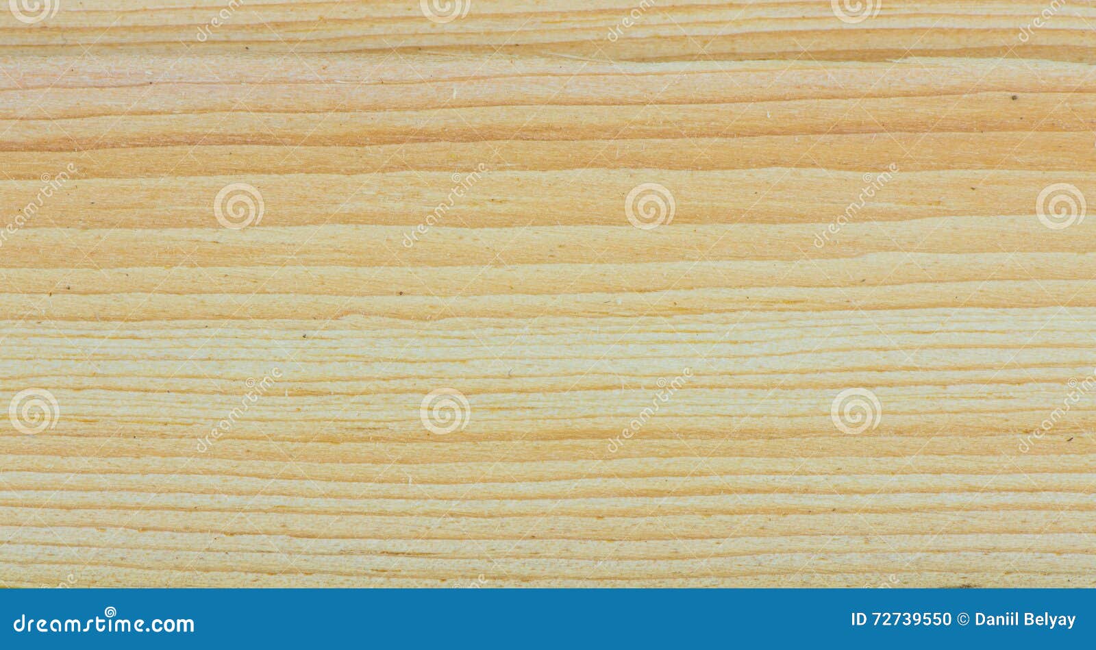 Textura De Madera Del árbol De Cedro Foto de archivo - Imagen de suelo ...