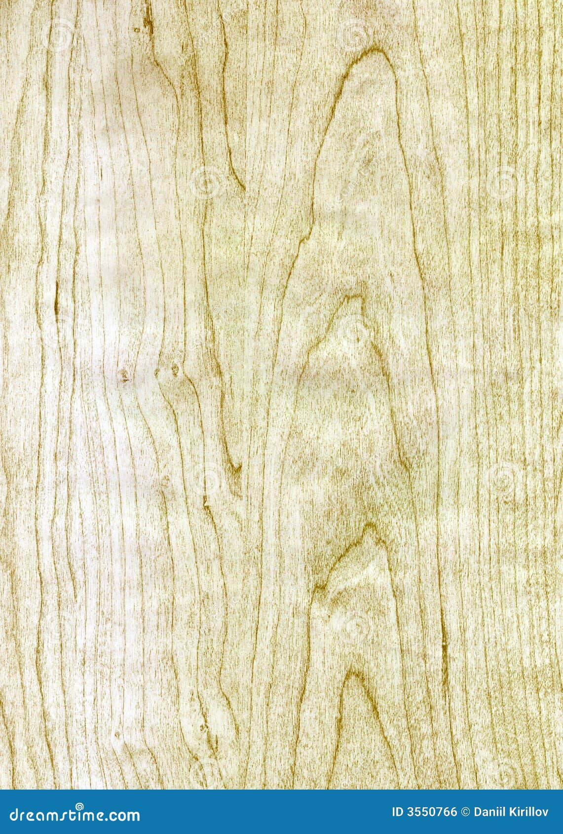 Textura De Madera Del Abedul Foto de archivo - Imagen de material ...