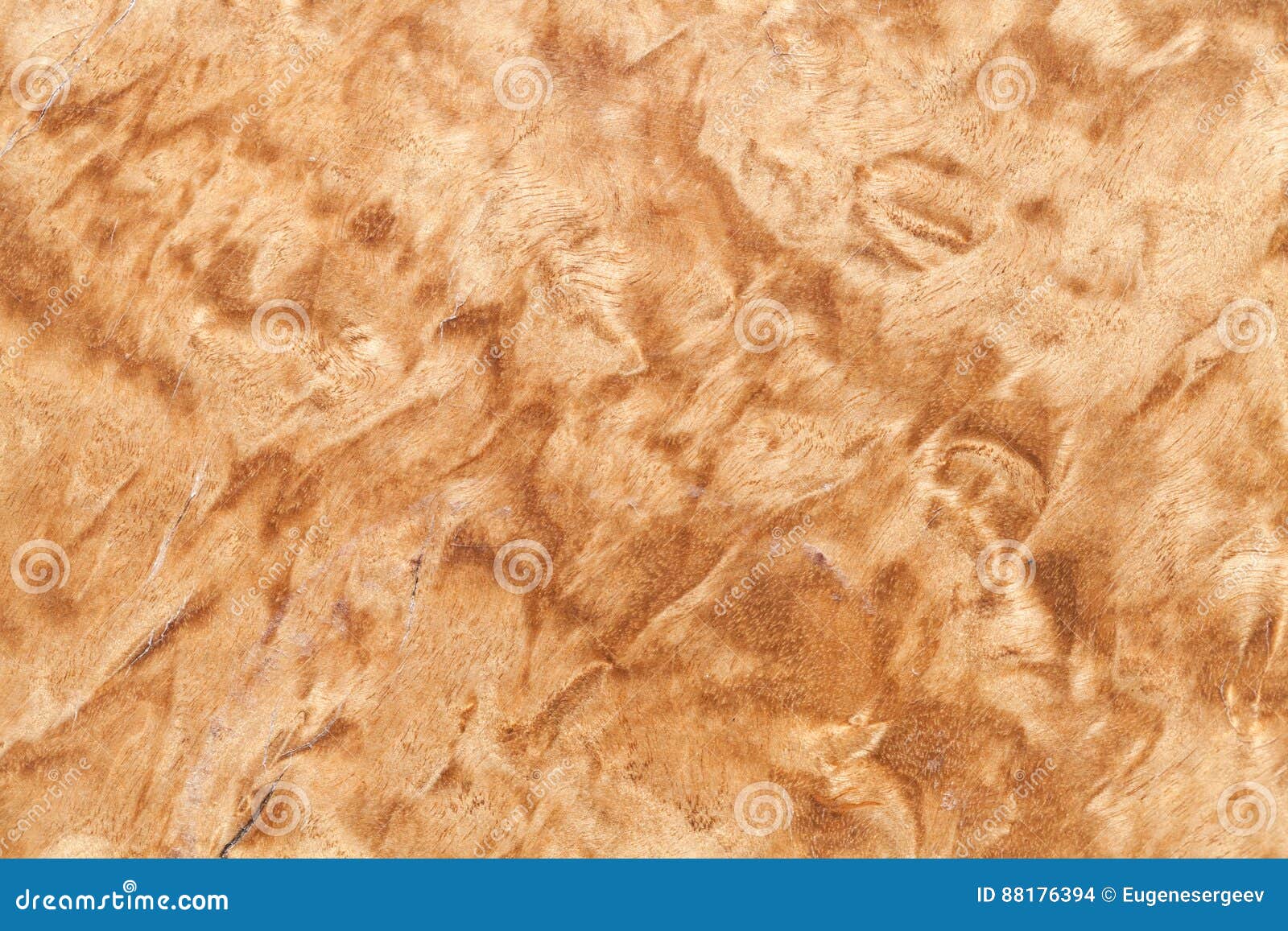 Textura De Madera Del Abedul Carelio Foto de archivo - Imagen de suelo ...