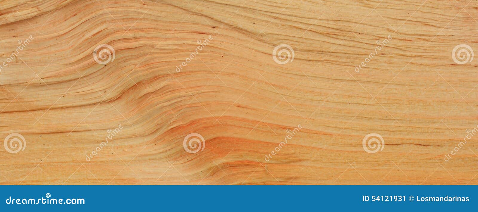 Textura De Madera Del Aliso Imagen de archivo - Imagen de grano ...