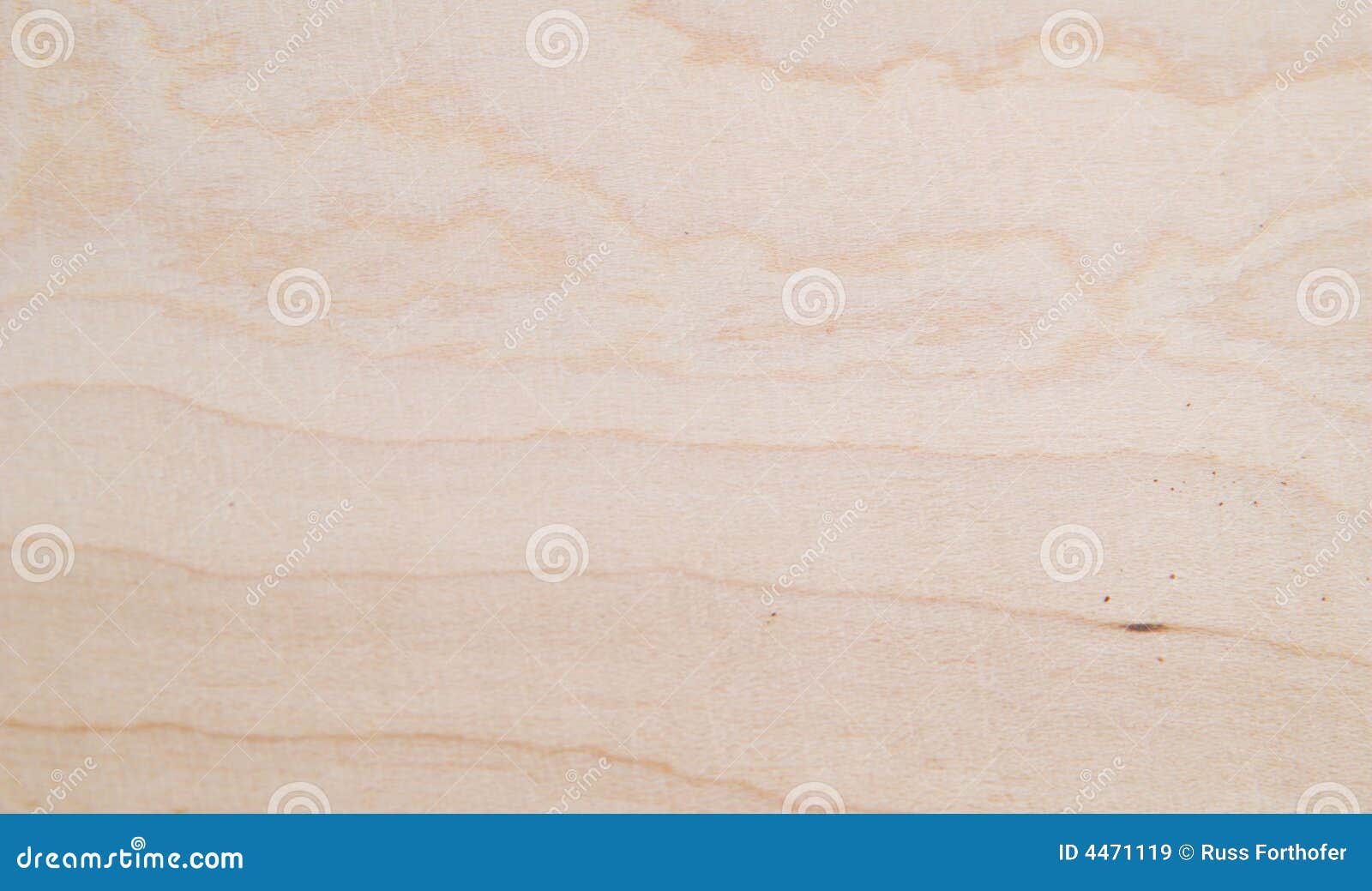 Textura de madera del arce imagen de archivo. Imagen de wallpaper - 4471119