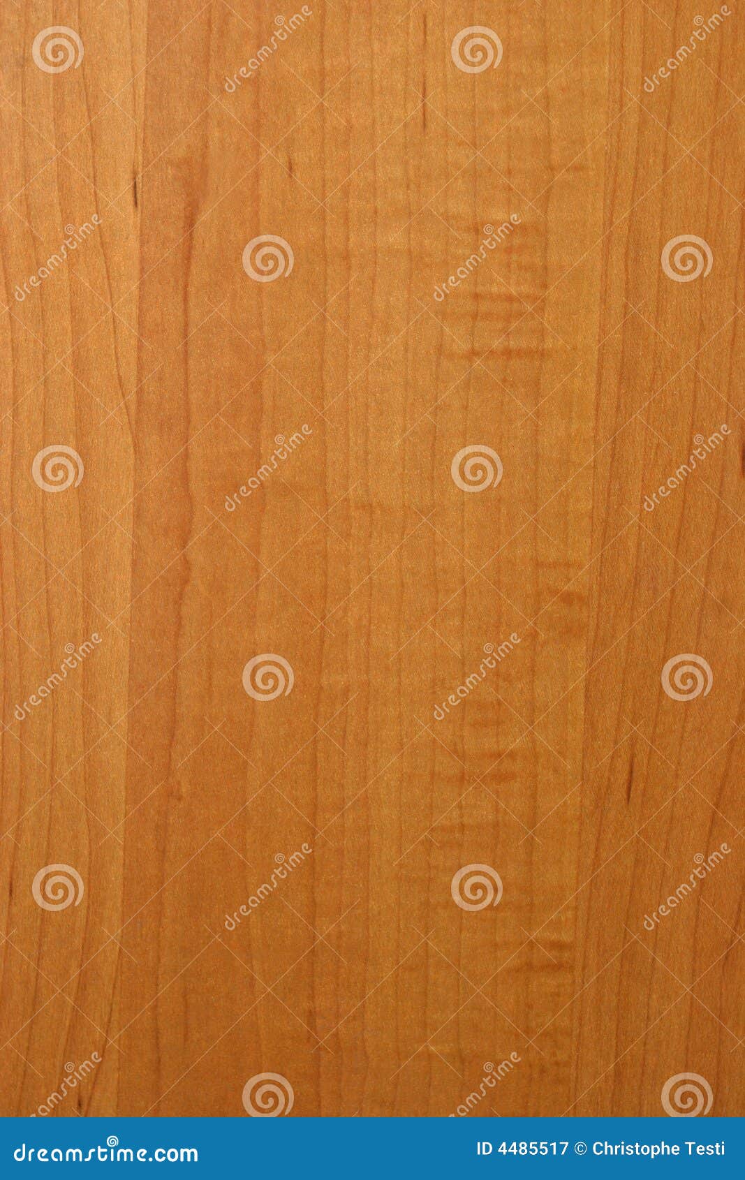 Textura de madera del arce imagen de archivo. Imagen de primer - 4485517