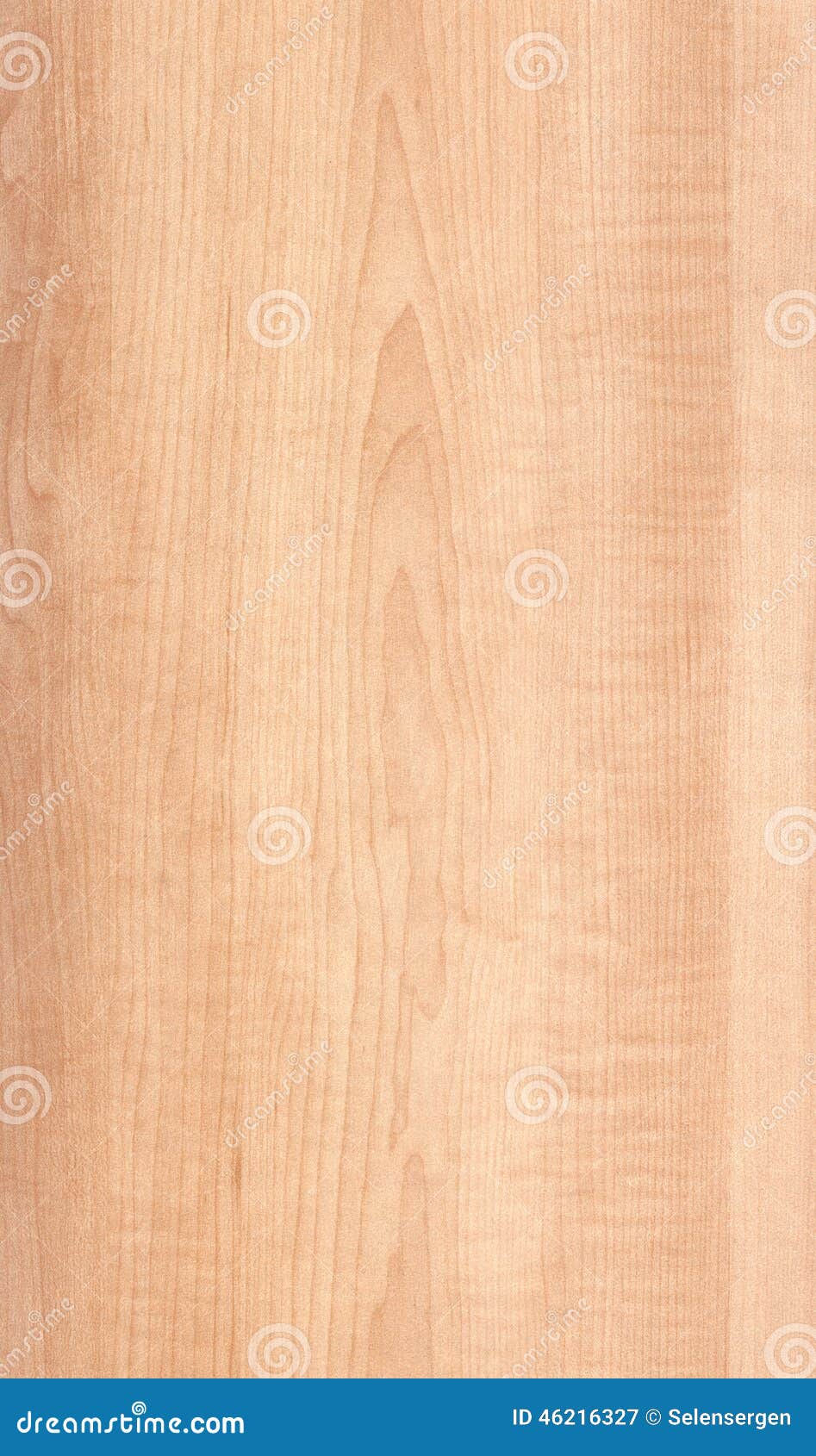 Textura de madera del arce imagen de archivo. Imagen de suelo - 46216327