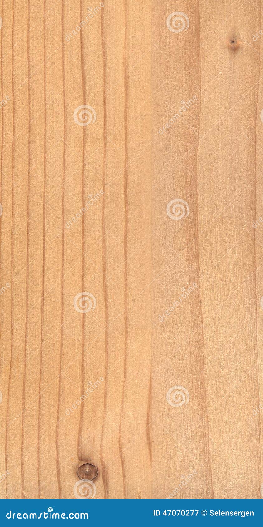 Textura de madera del arce imagen de archivo. Imagen de hardwood - 47070277
