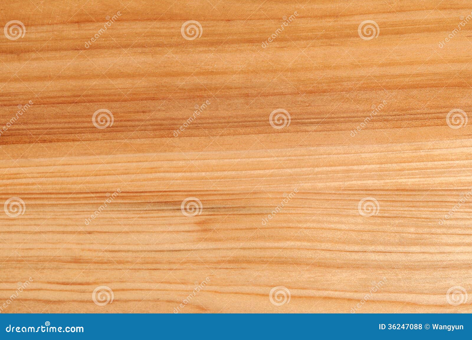 Textura De Madera Del Tablero Foto de archivo - Imagen de cedro, fondo ...