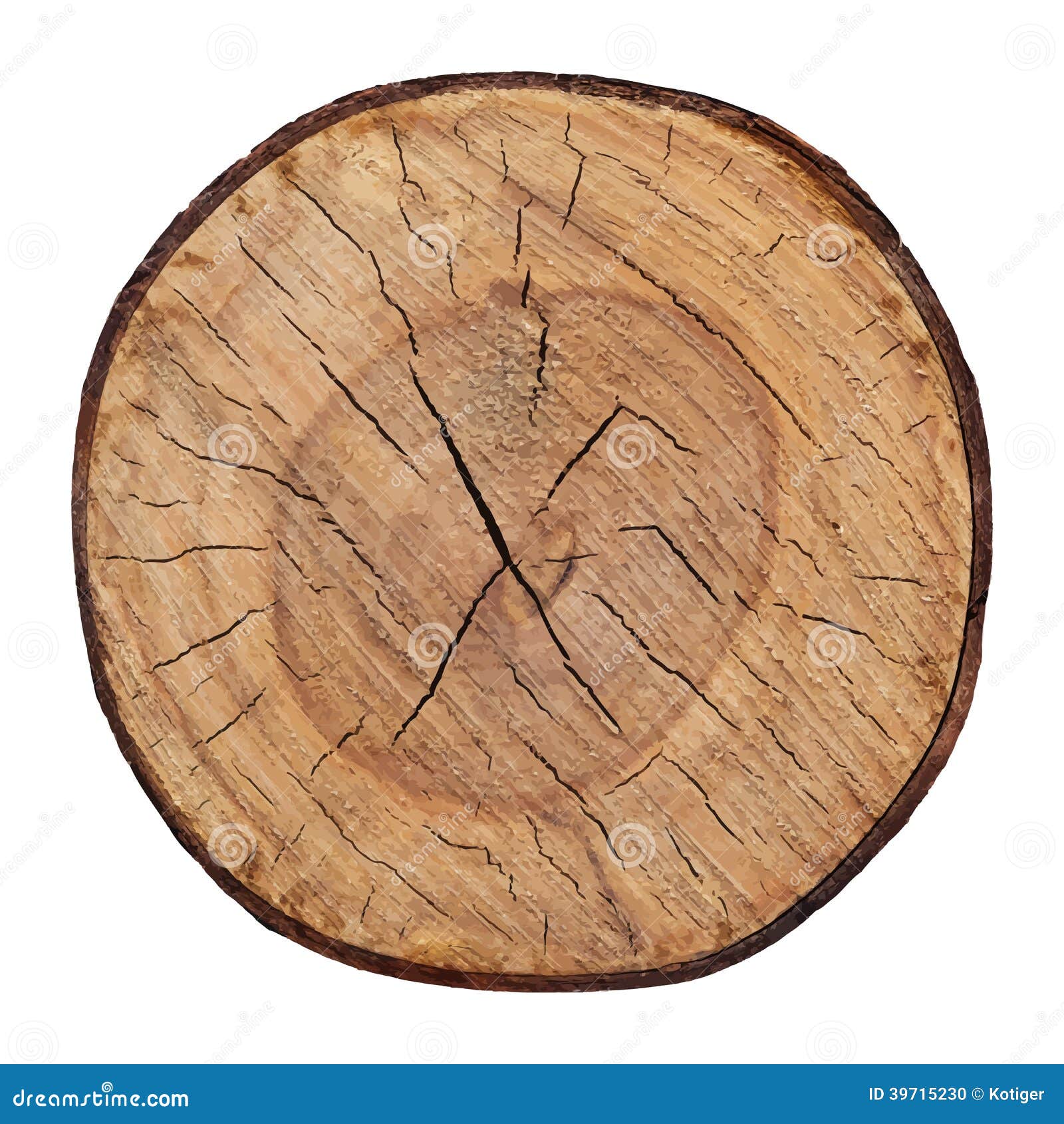 Textura De Madera Del Vector Cutted Del Tronco De árbol Stock de ...