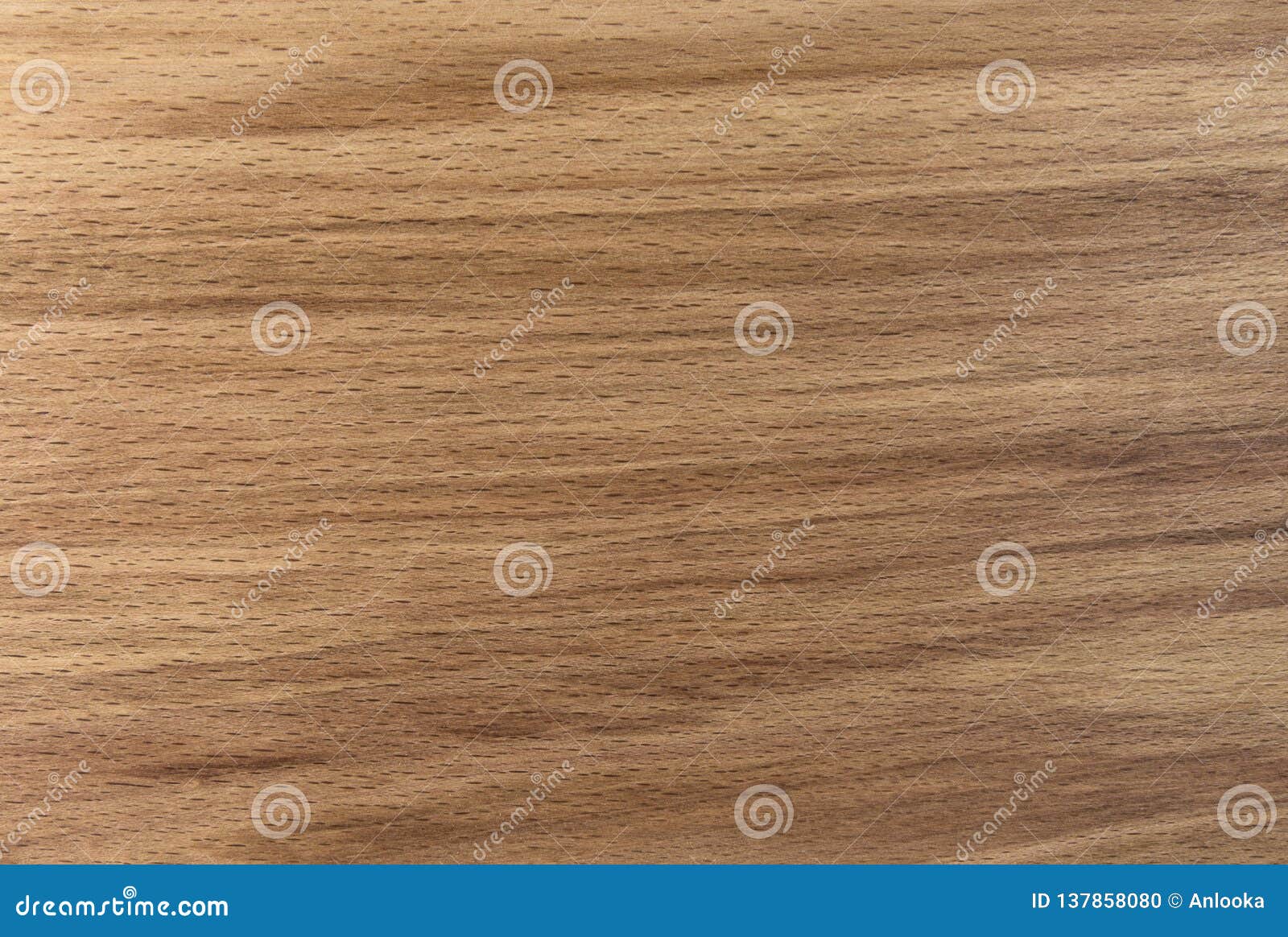 Textura De Madera De Haya Con El Modelo Natural Foto de archivo ...