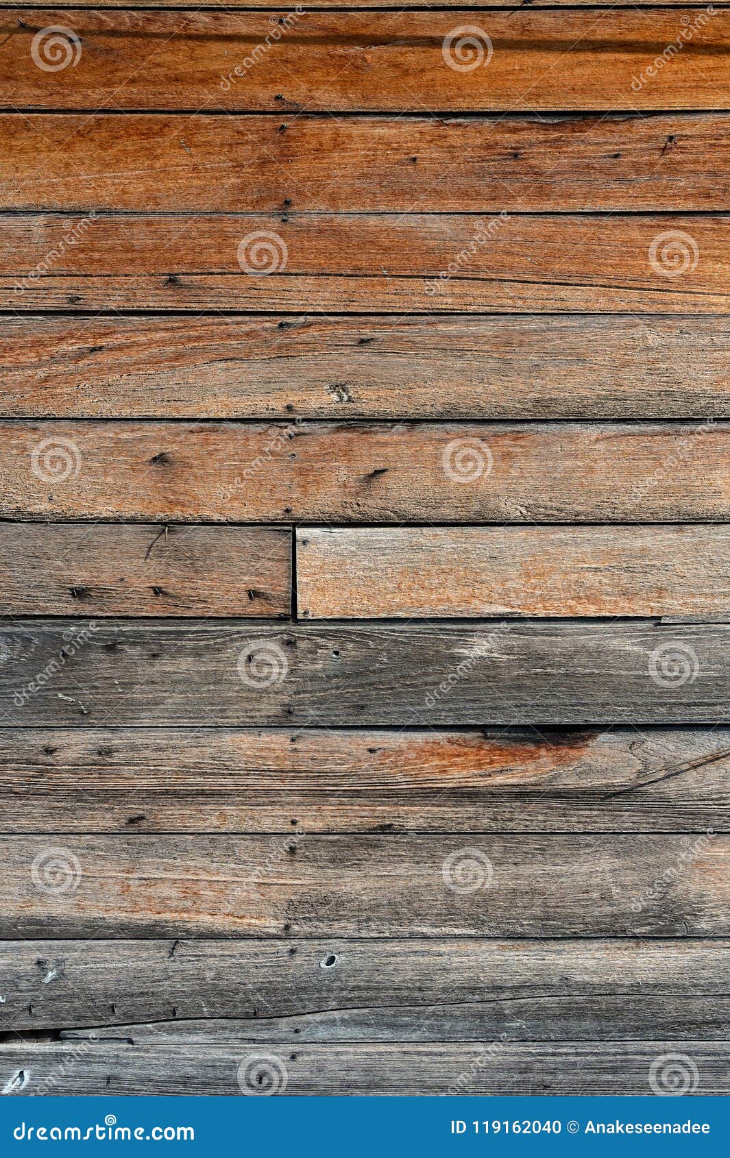 Textura De Madera De La Pared Foto de archivo - Imagen de panel ...