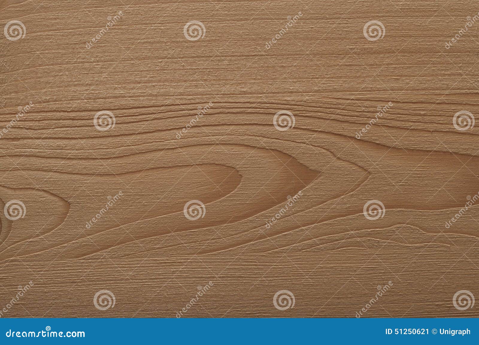 Textura de madera ligera imagen de archivo. Imagen de cerca - 51250621