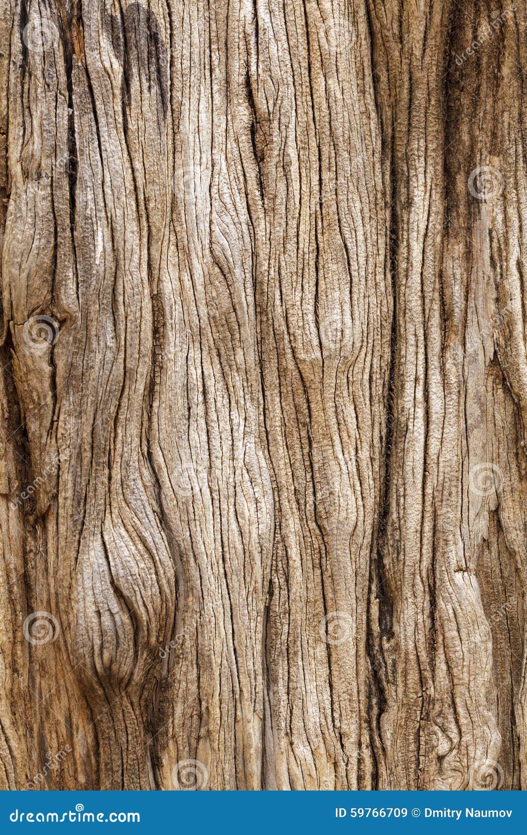 Textura de madera rústica imagen de archivo. Imagen de exterior - 59766709