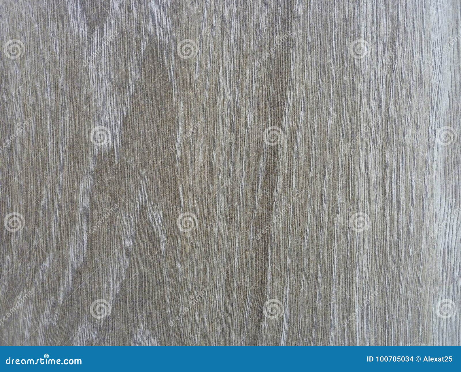 Textura de madera de roble foto de archivo. Imagen de fondo - 100705034