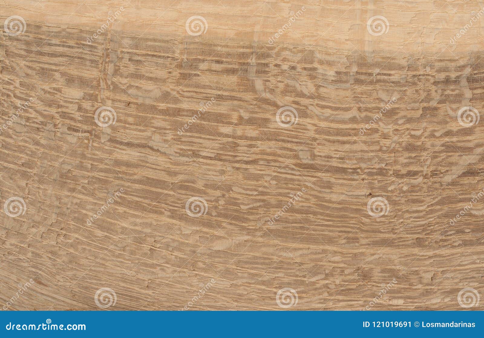 Textura de madera de roble imagen de archivo. Imagen de cierre - 121019691