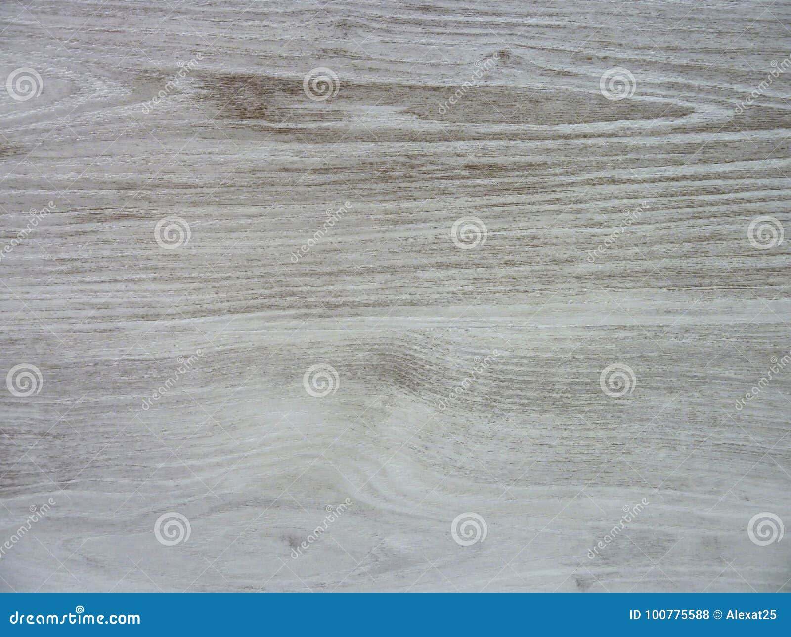 Textura De Madera De Roble Blanco Foto de archivo - Imagen de roble ...