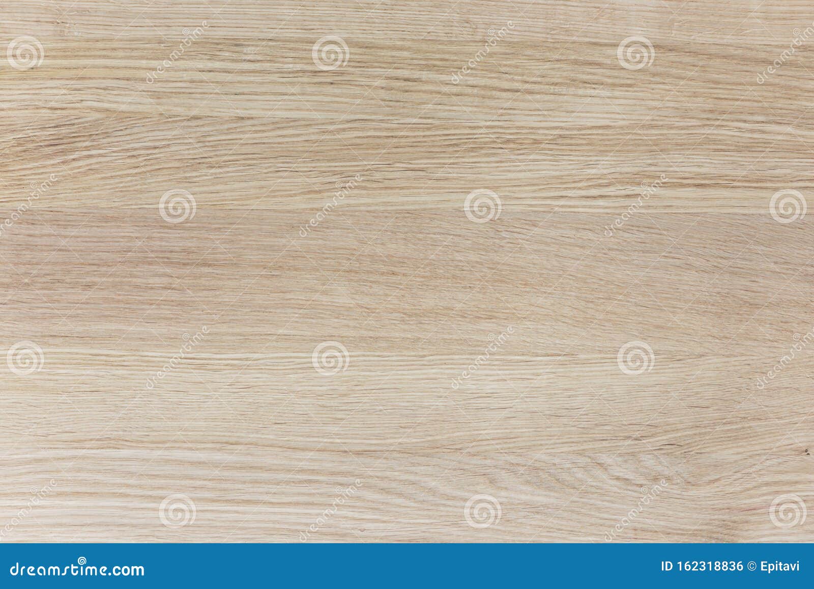 Textura de madera de roble foto de archivo. Imagen de muestra - 162318836