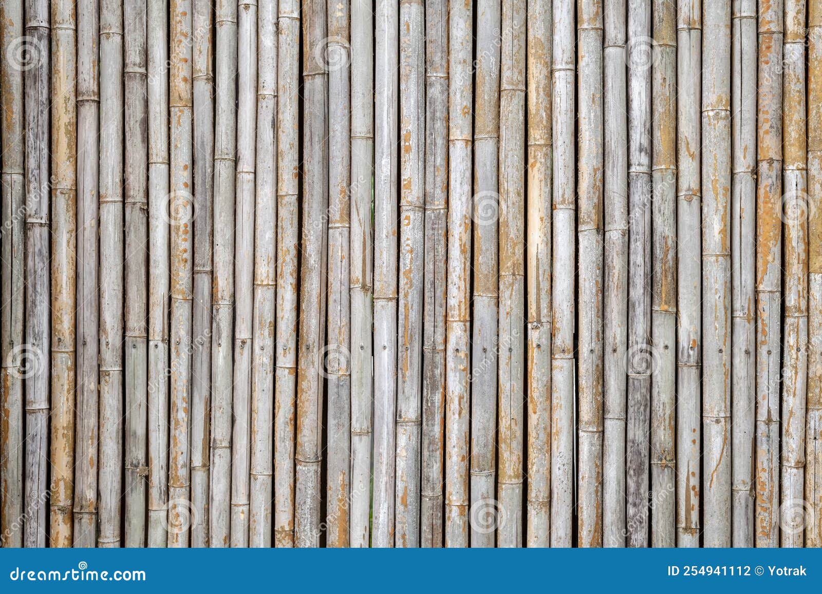 Textura de parede de bambu foto de stock. Imagem de marrom - 254941112