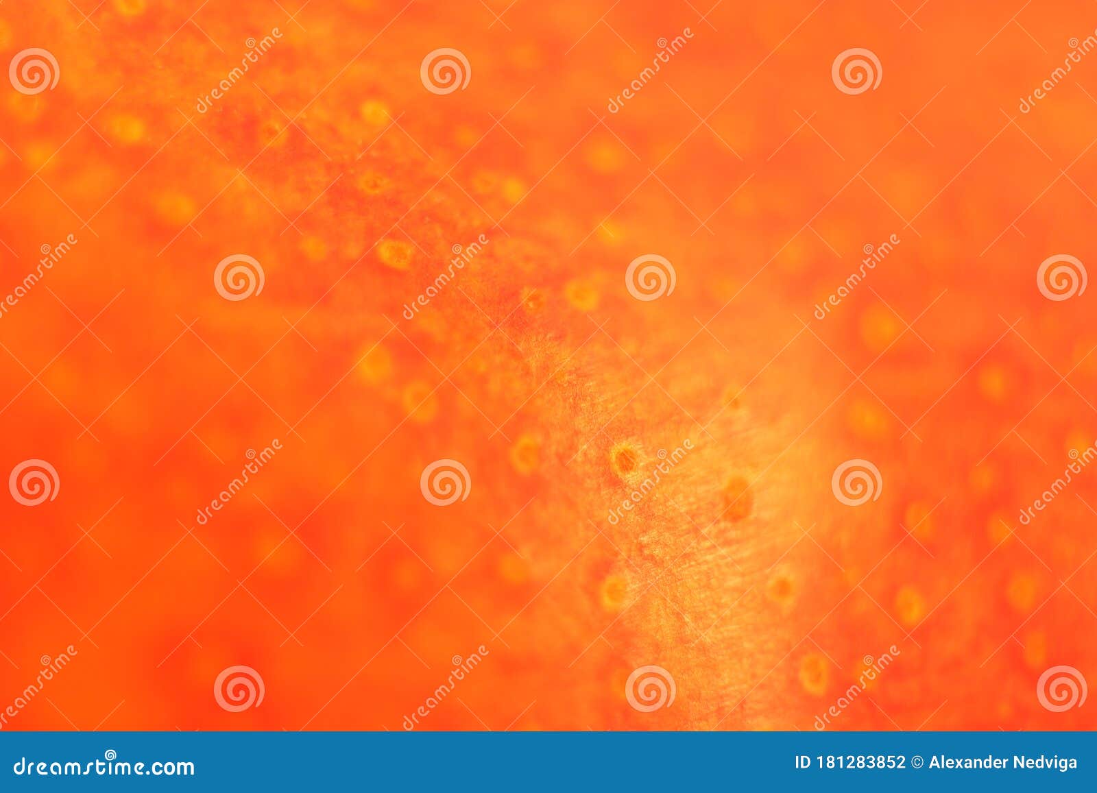 Textura de pera roja. foto de archivo. Imagen de macro - 181283852