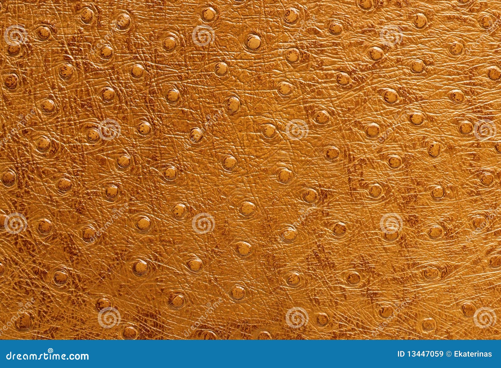 Textura de piel imagen de archivo. Imagen de cloth, grained - 13447059