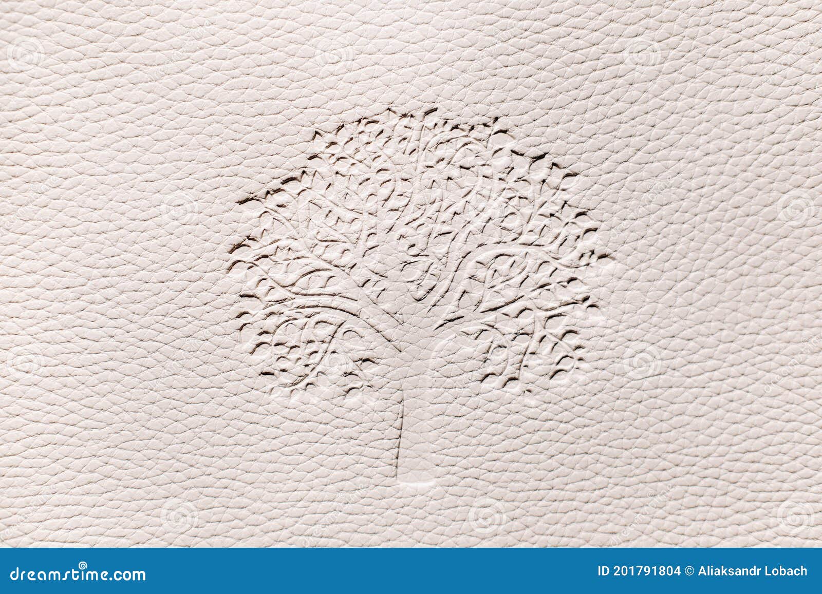 Textura De Relevo Com Madeira Em Fundo Branco De Fundo, Branco De Fundo ...