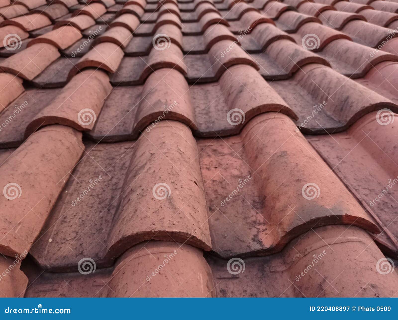 Textura De Techo De Casa Muy Hermosa Imagen de archivo - Imagen de ...