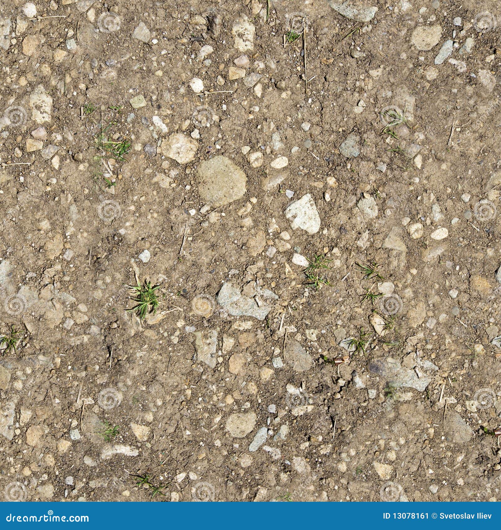 Textura de tierra imagen de archivo. Imagen de verde - 13078161