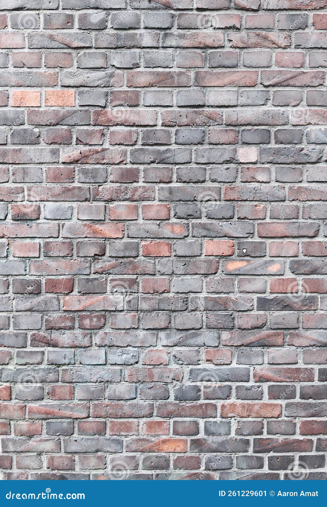 Textura De Uma Parede De Tijolos Imagem De Stock Imagem De Tijolos