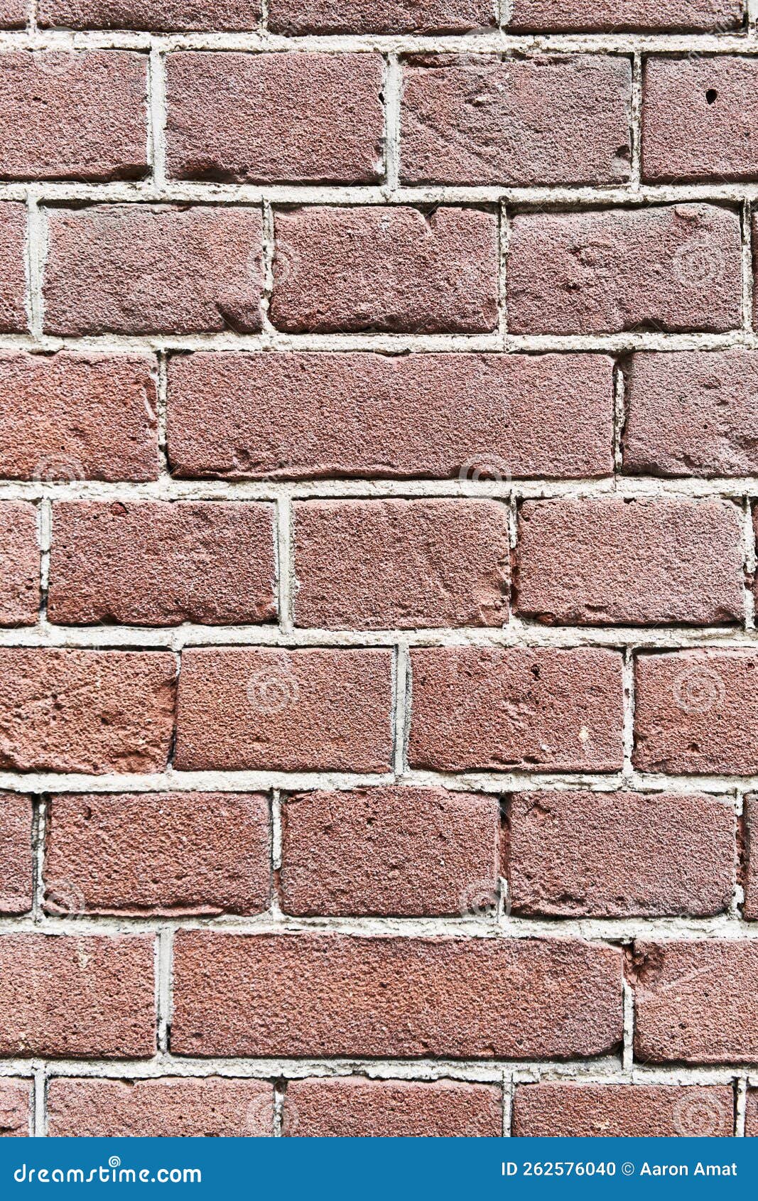 Textura De Uma Parede De Tijolos Foto De Stock Imagem De Textura