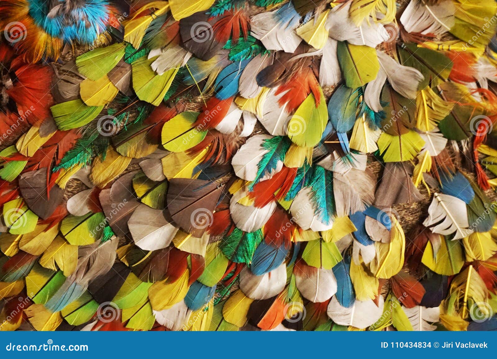 Textura Del Color De La Pluma Foto de archivo - Imagen de textura, vivo ...