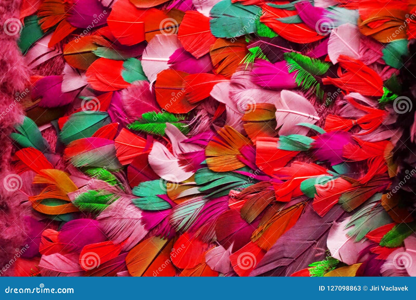 Textura Del Color De La Pluma Imagen de archivo - Imagen de travieso ...