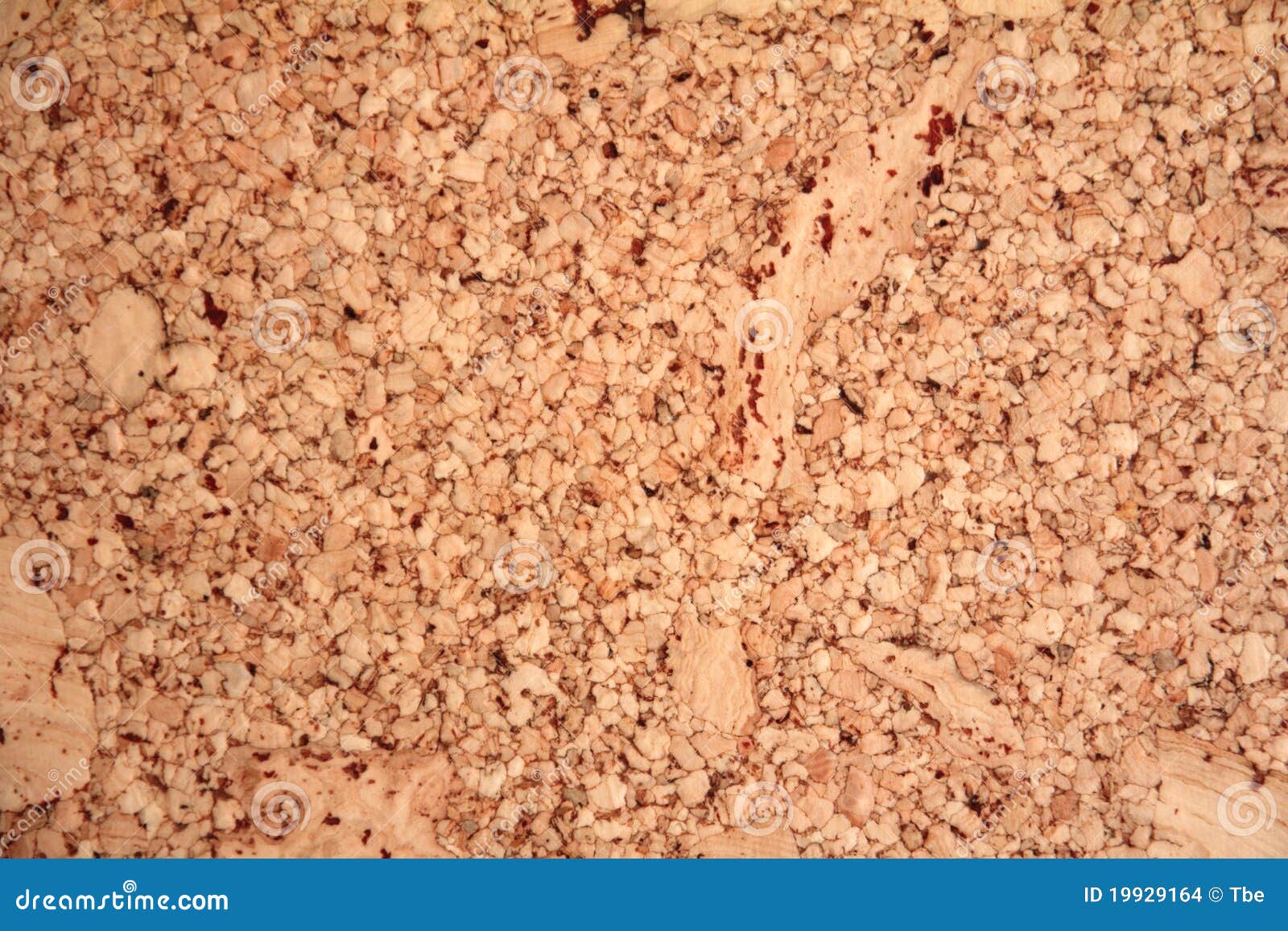 Textura del corcho foto de archivo. Imagen de corcho - 19929164