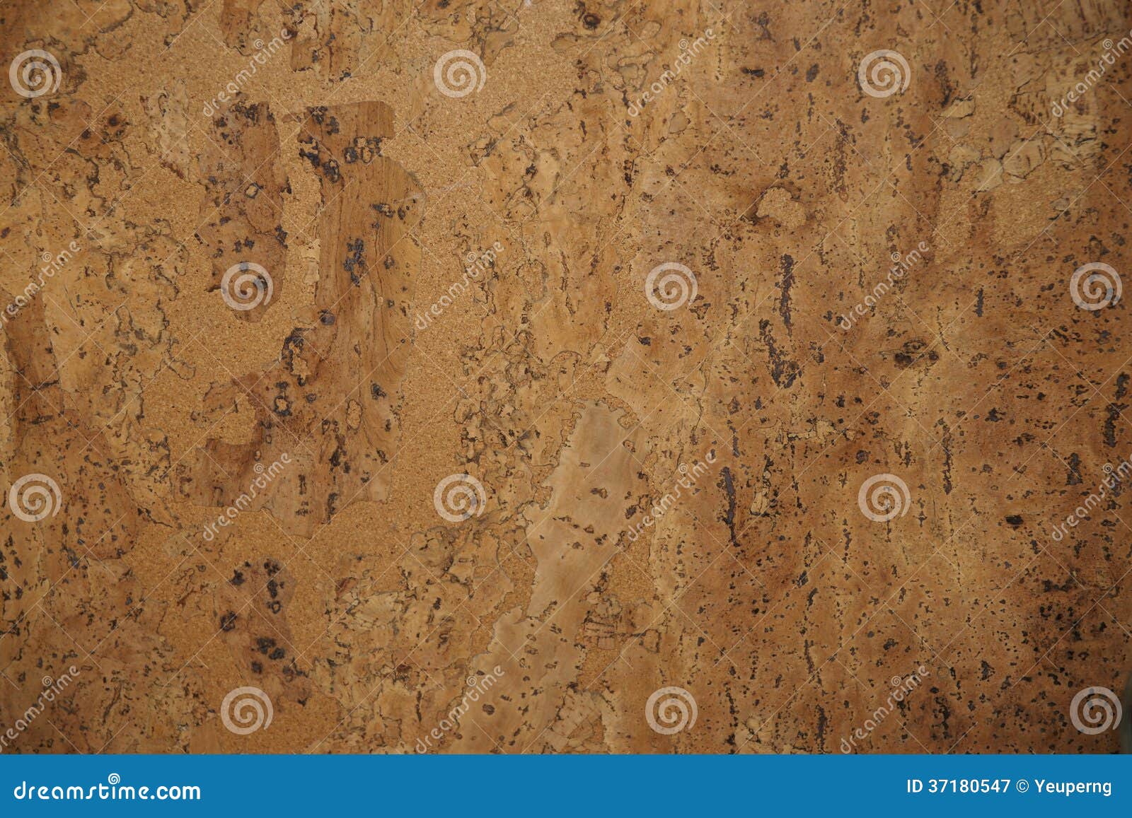 Textura del corcho. imagen de archivo. Imagen de insonoro - 37180547