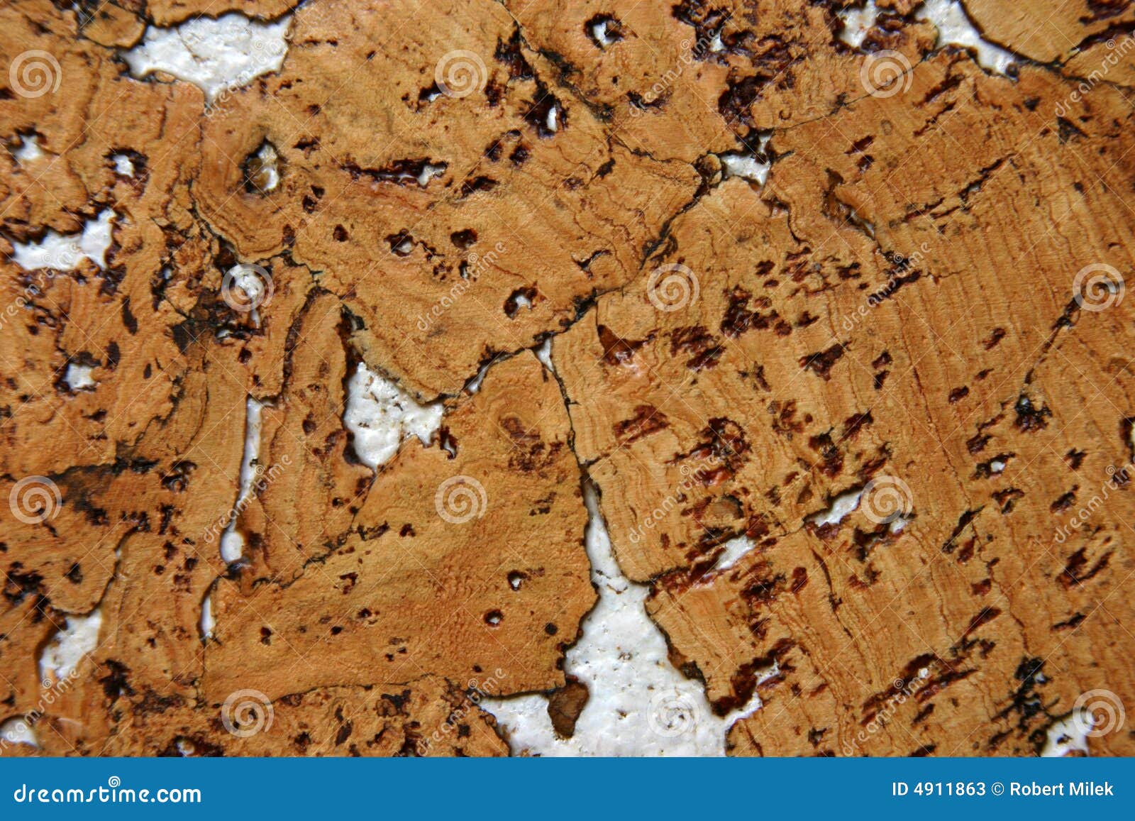 Textura del corcho imagen de archivo. Imagen de tarjeta - 4911863
