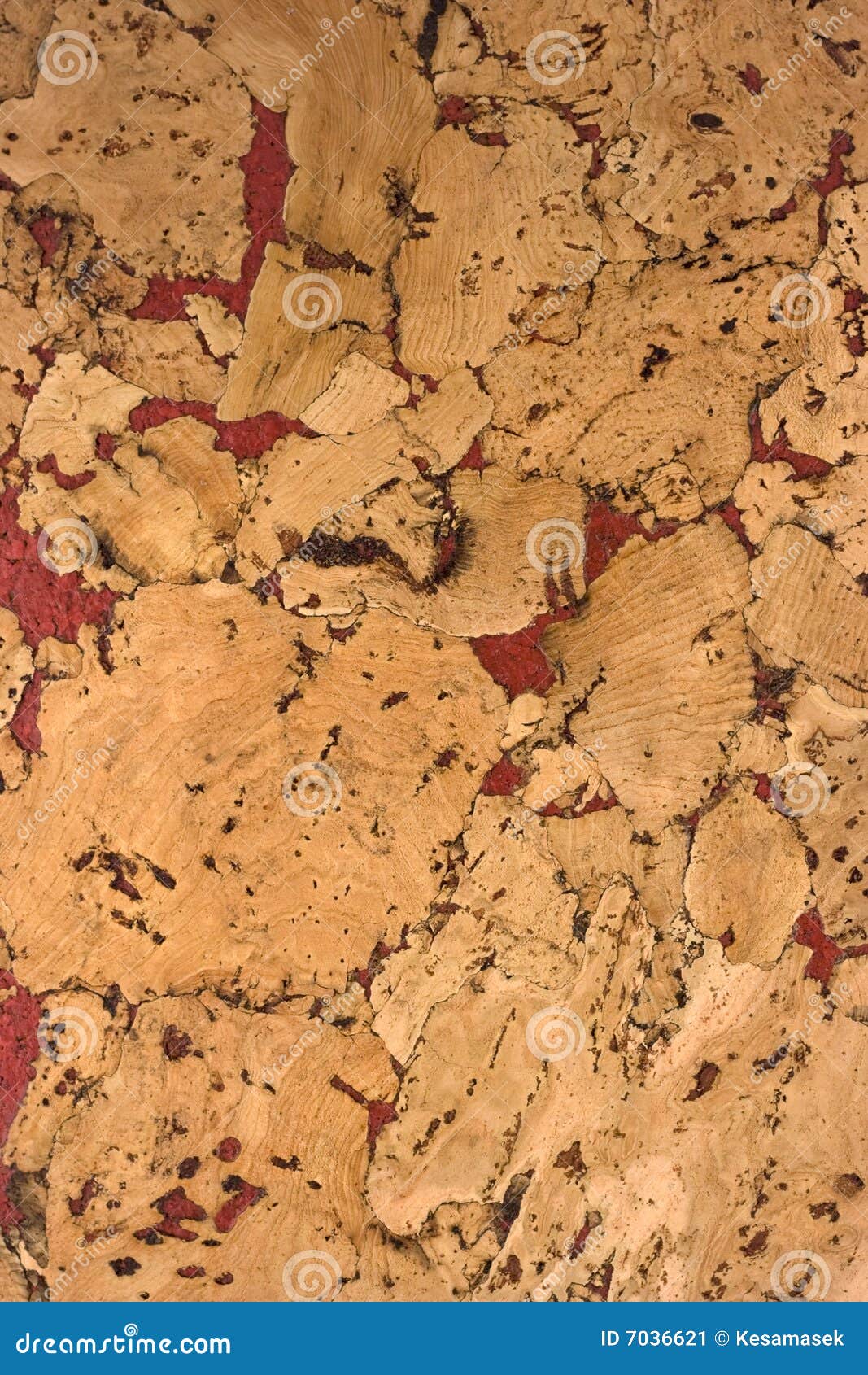 Textura del corcho imagen de archivo. Imagen de carpintero - 7036621