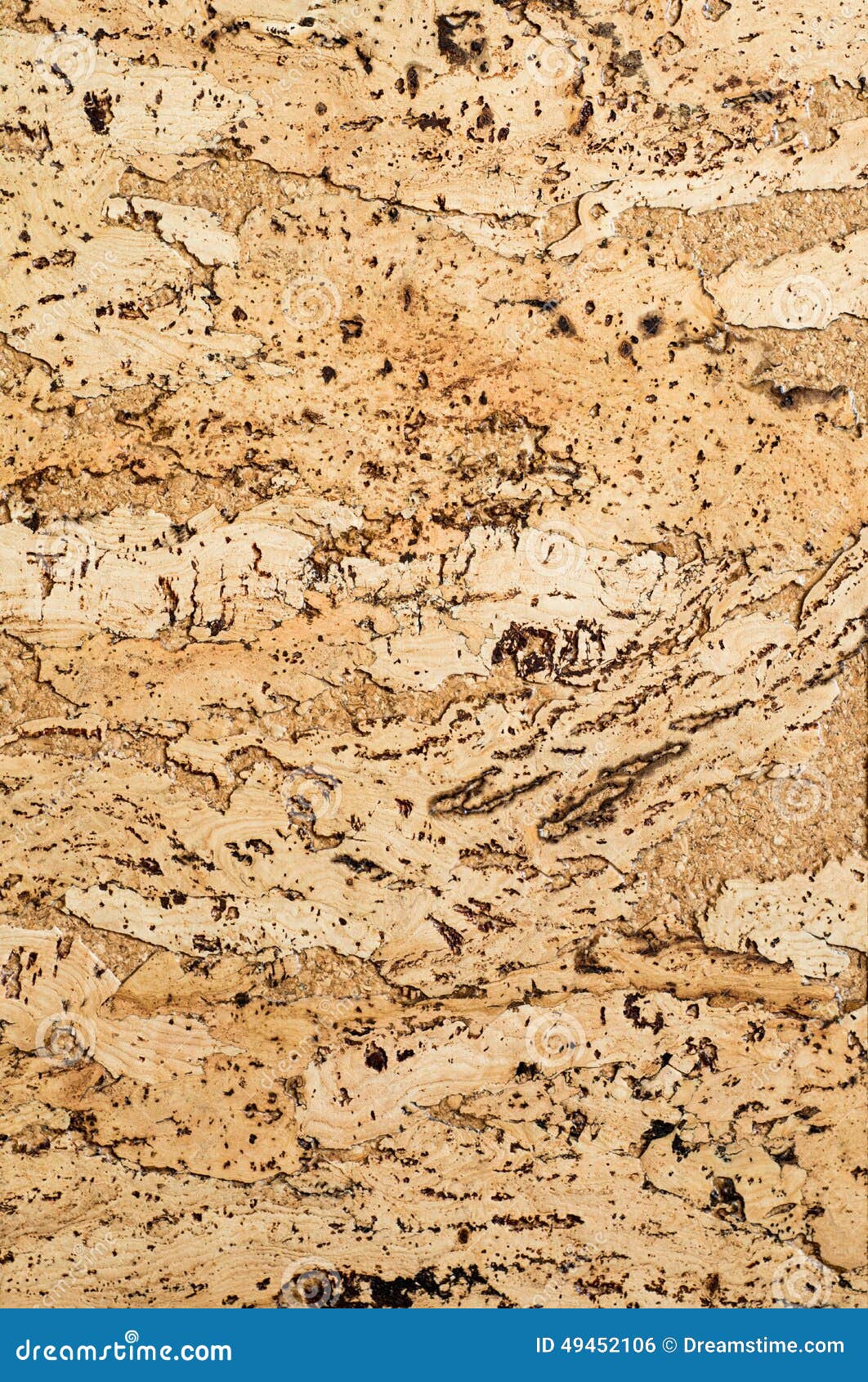 Textura Del Corcho Fondo Primer Foto de archivo - Imagen de texturizado ...