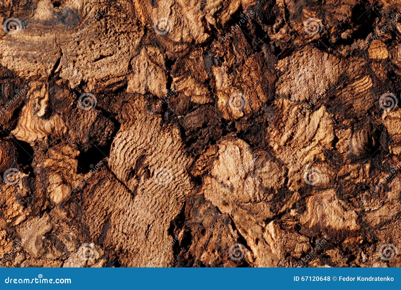 Textura Del Corcho Natural, Macro Foto de archivo - Imagen de madera ...
