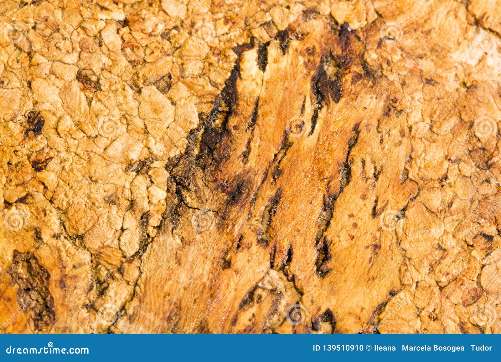 Textura del corcho foto de archivo. Imagen de viejo - 139510910
