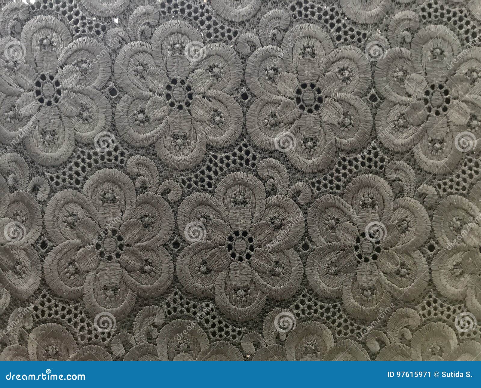 Textura del cordón imagen de archivo. Imagen de belleza - 97615971