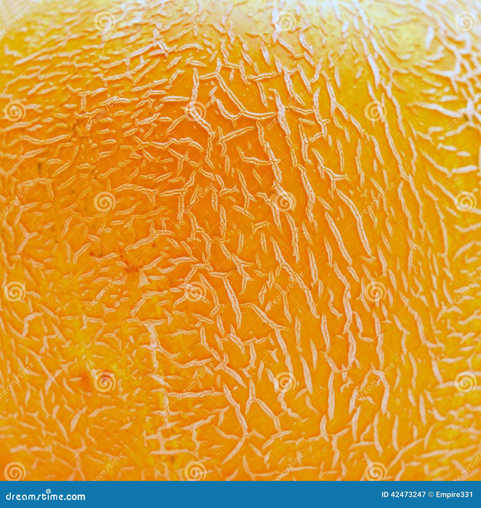 Textura del melón imagen de archivo. Imagen de modelo - 42473247