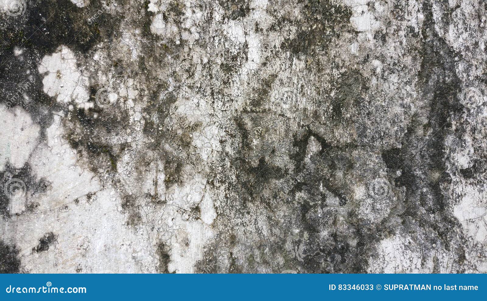 Textura del musgo negro imagen de archivo. Imagen de arte - 83346033