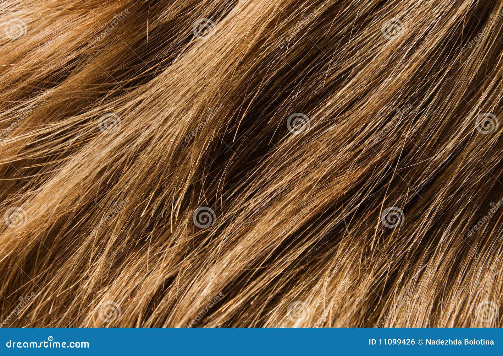 Textura del pelo foto de archivo. Imagen de oscuro, fondo - 11099426