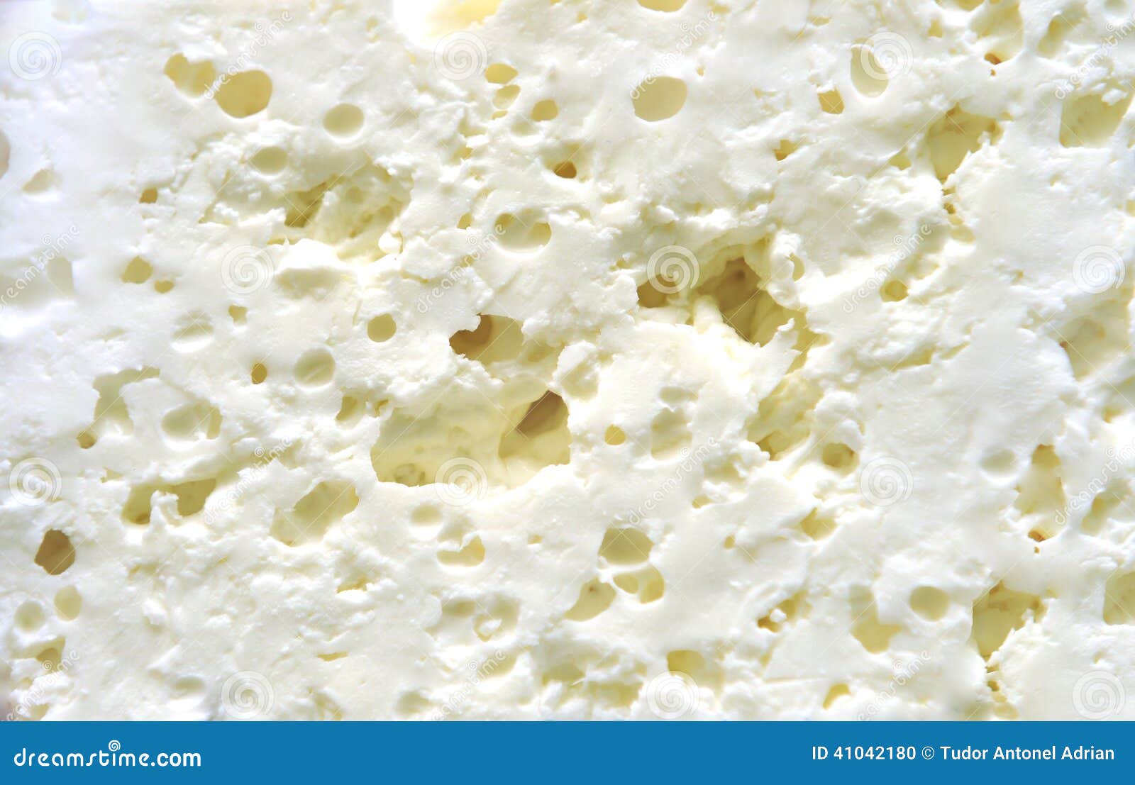 Textura del queso foto de archivo. Imagen de modelo, fondo - 41042180