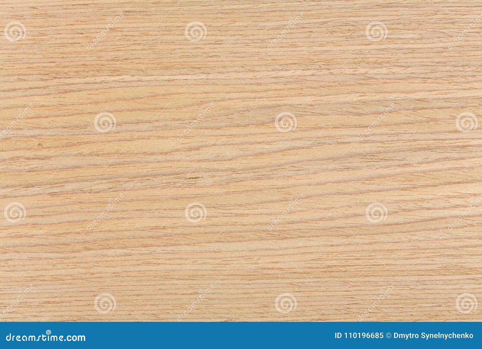 Textura Del Roble Con El Modelo De Madera Natural Imagen de archivo ...