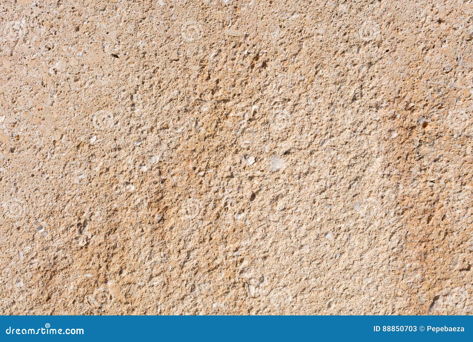 Textura Do Arenito Com Fósseis Imagem de Stock - Imagem de fundo ...